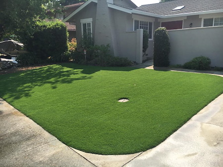 How Artificial Grass Gives You More Time to Drink Beer (And Less Time ...